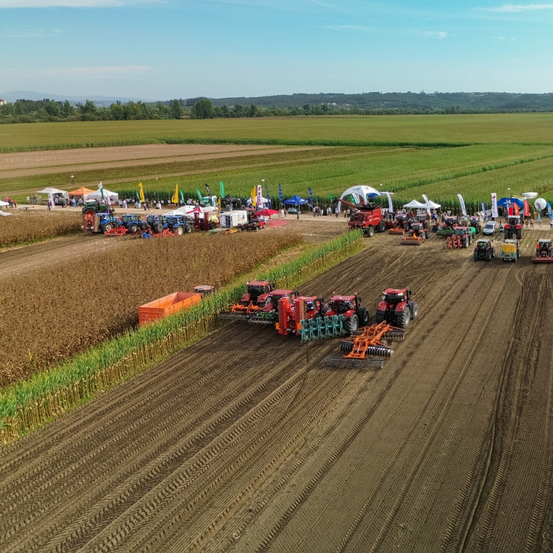 2024 The Future of Agriculture: What is Shaping this Industry? - Agrisense
